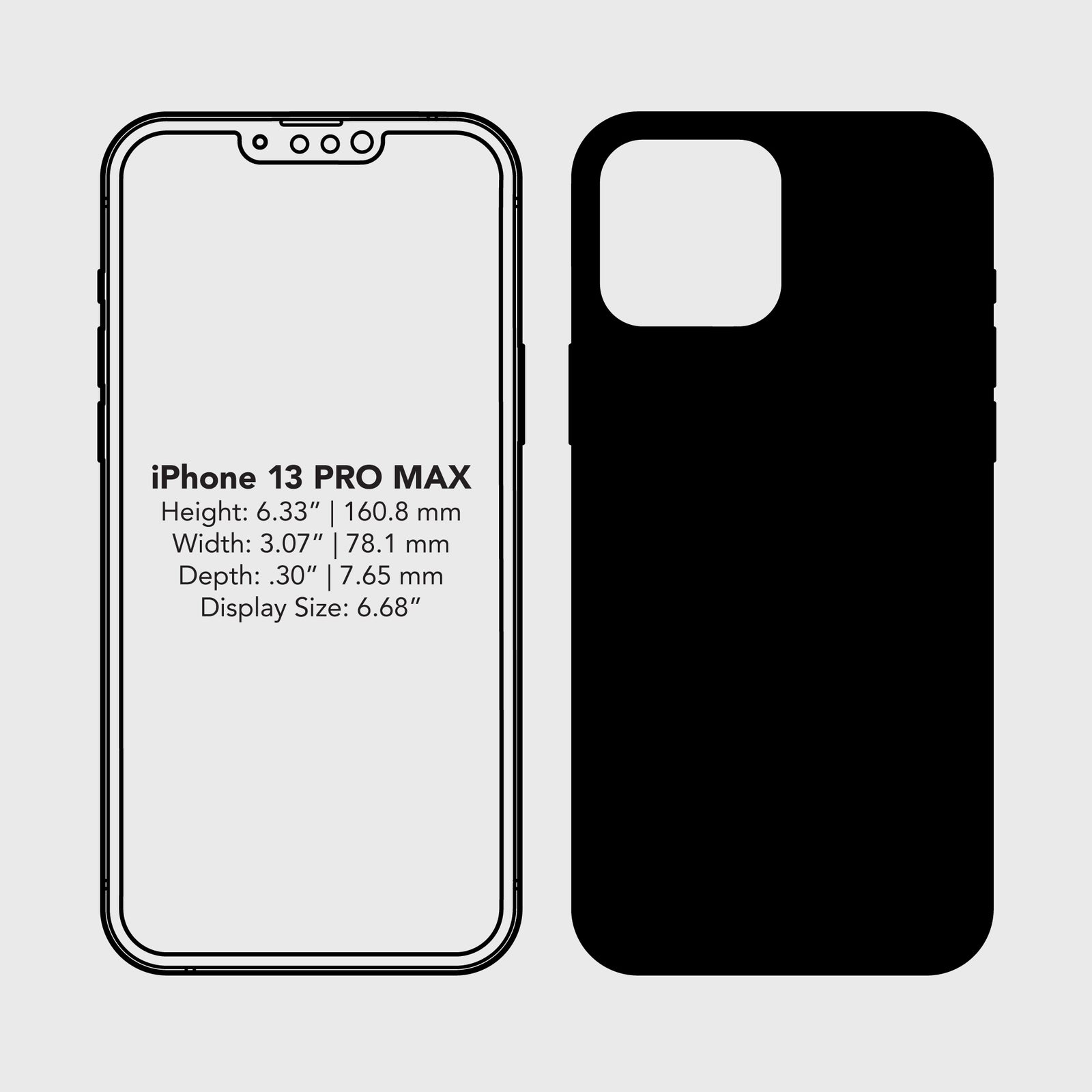 Tigraa - iPhone 13 PRO MAX Cases